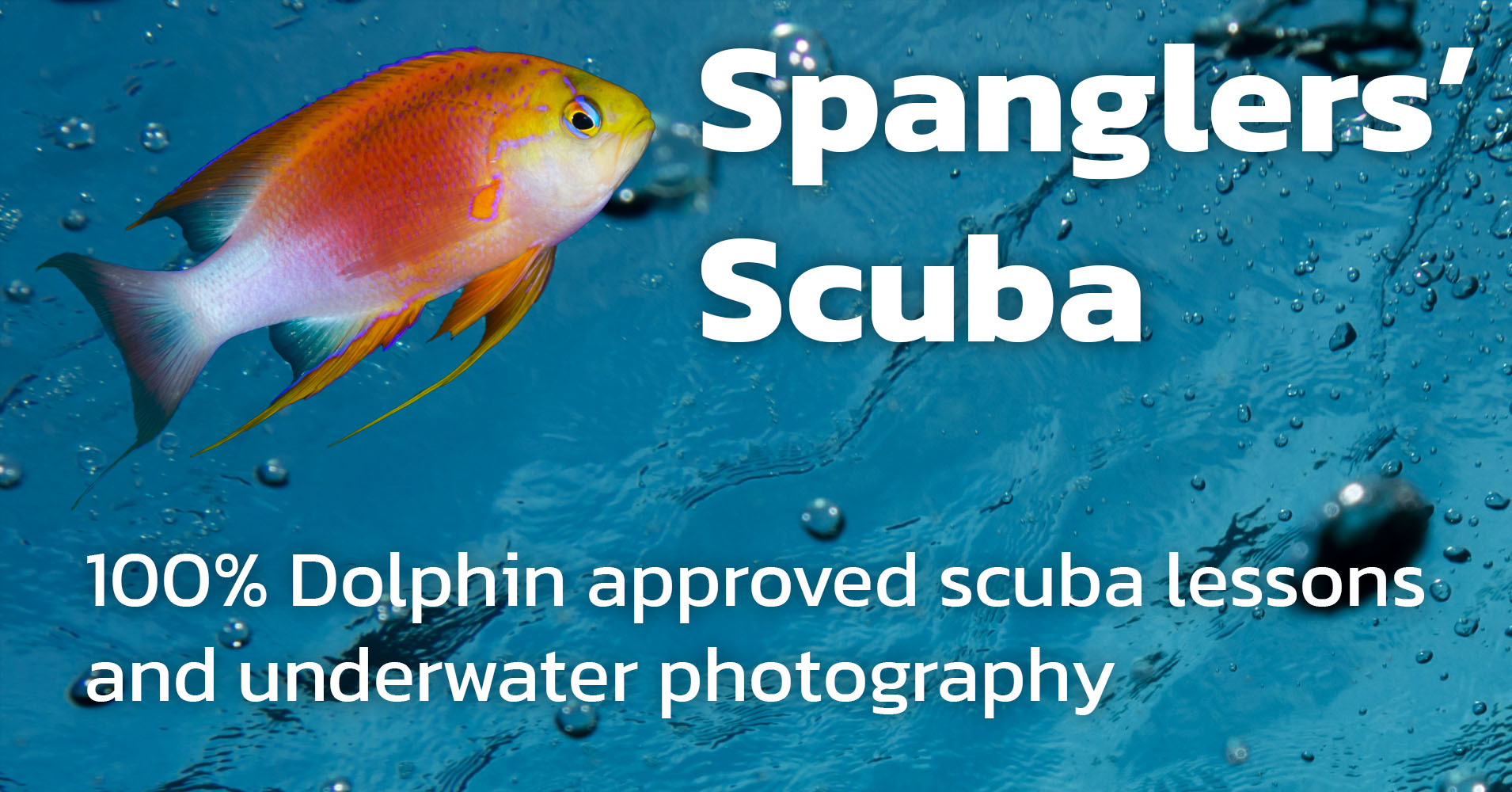 Spanglers' Scuba